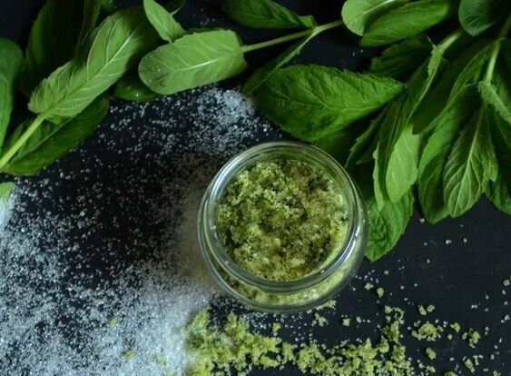How to prepare mint for the winter: 3 ways - MustHub